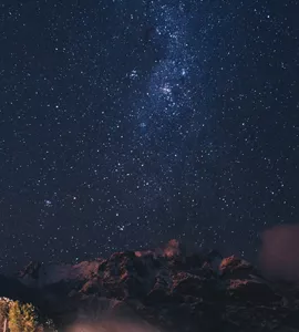 Bitmap Photography Multi